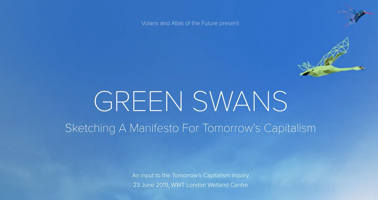 Green Swan Video Launches in Land of Ugly Duckings